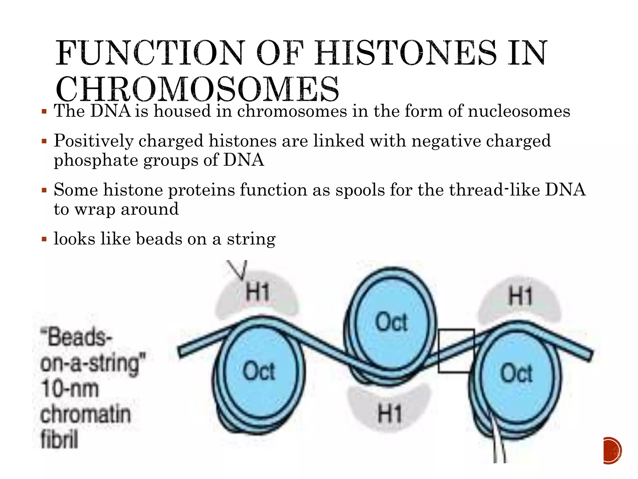 Dna binding proteins | PPTX