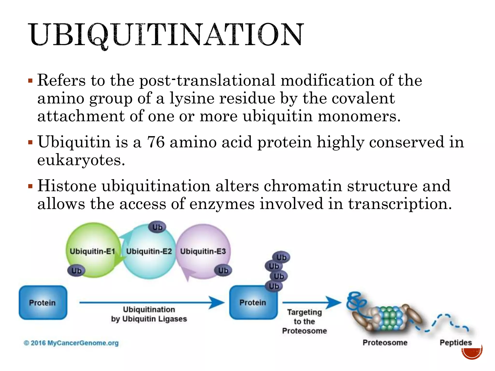 Dna binding proteins | PPTX
