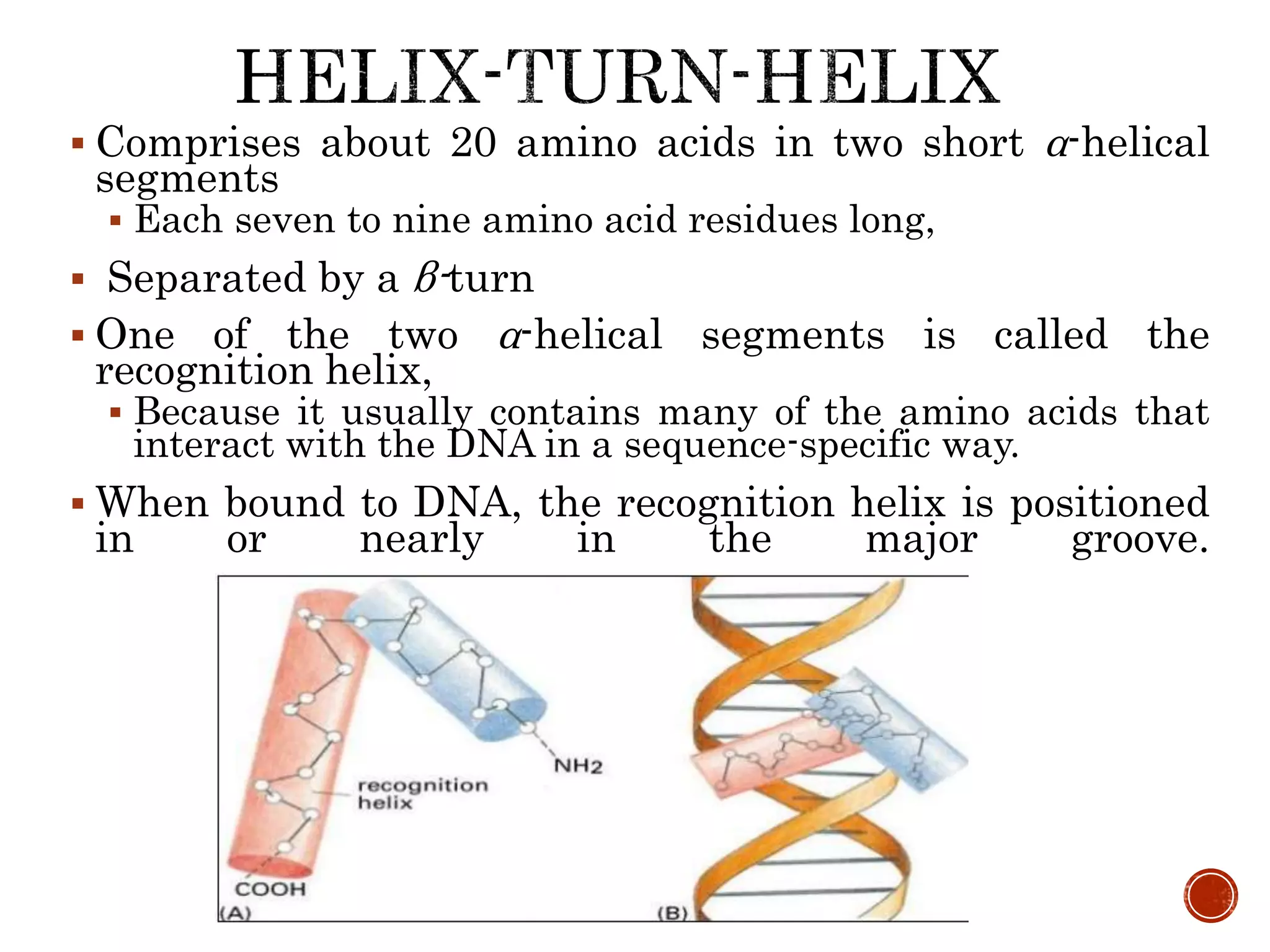 Dna binding proteins | PPTX