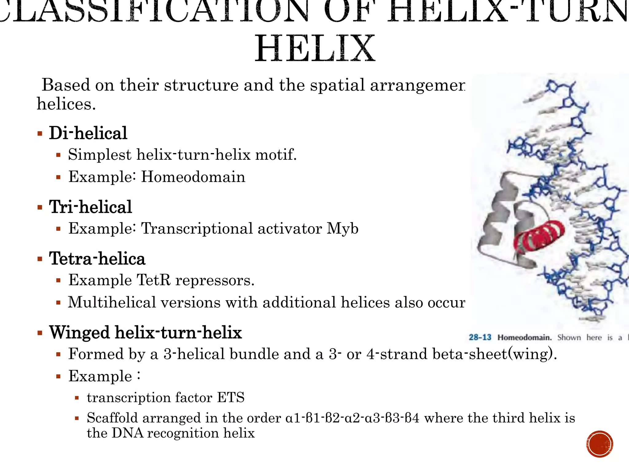 Dna binding proteins | PPTX