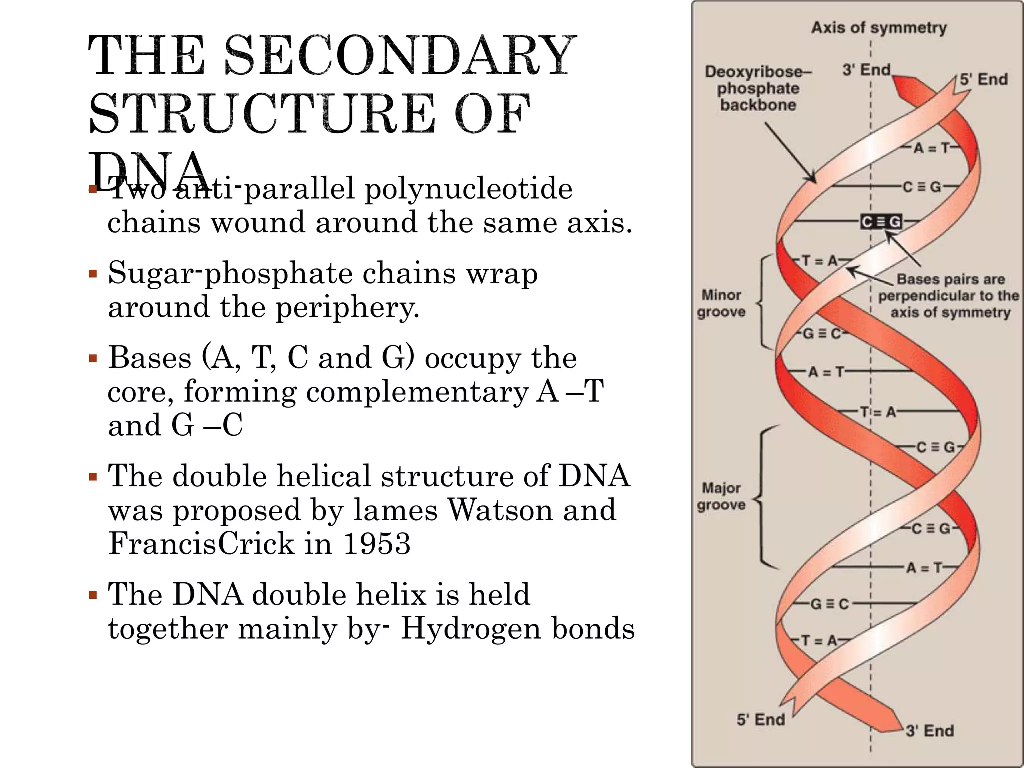 Dna binding proteins | PPTX