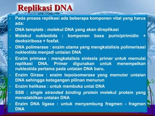 Biokimia DNA | PPT