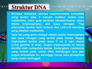 Biokimia DNA | PPT