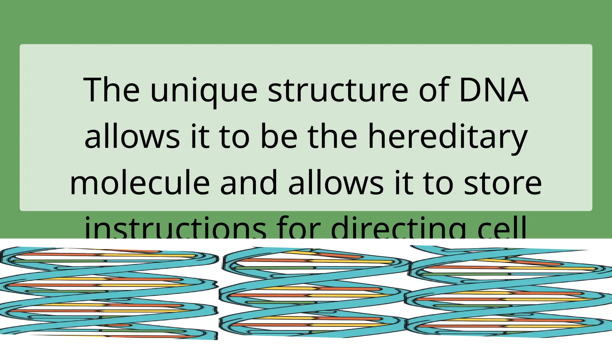DNA Biology Science Grade 9 first quarter.pptx