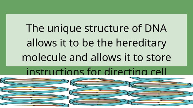 DNA Biology Science Grade 9 first quarter.pptx