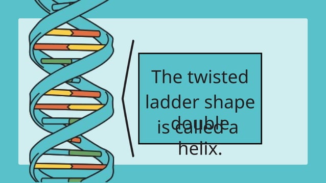 DNA Biology Science Grade 9 first quarter.pptx