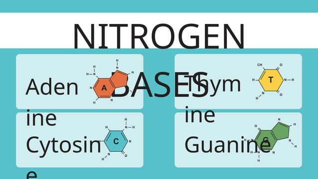 DNA Biology Science Grade 9 first quarter.pptx