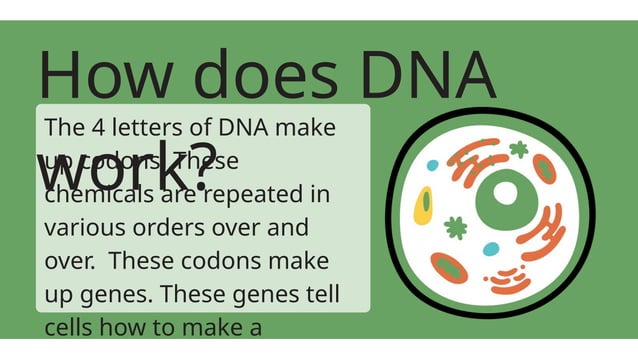 DNA Biology Science Grade 9 first quarter.pptx