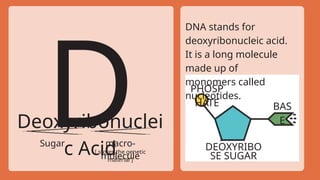 DNA Biology Science Education Presentation in Blue Orange Illustrated ...