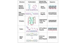 Dna chemistry structure,fuctions and its orgainization | PDF