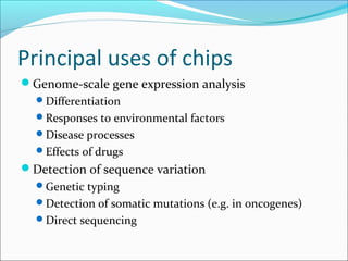 DNA CHIPS | PPT