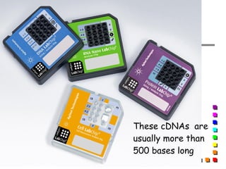 Dna chips and microarrays | PPT