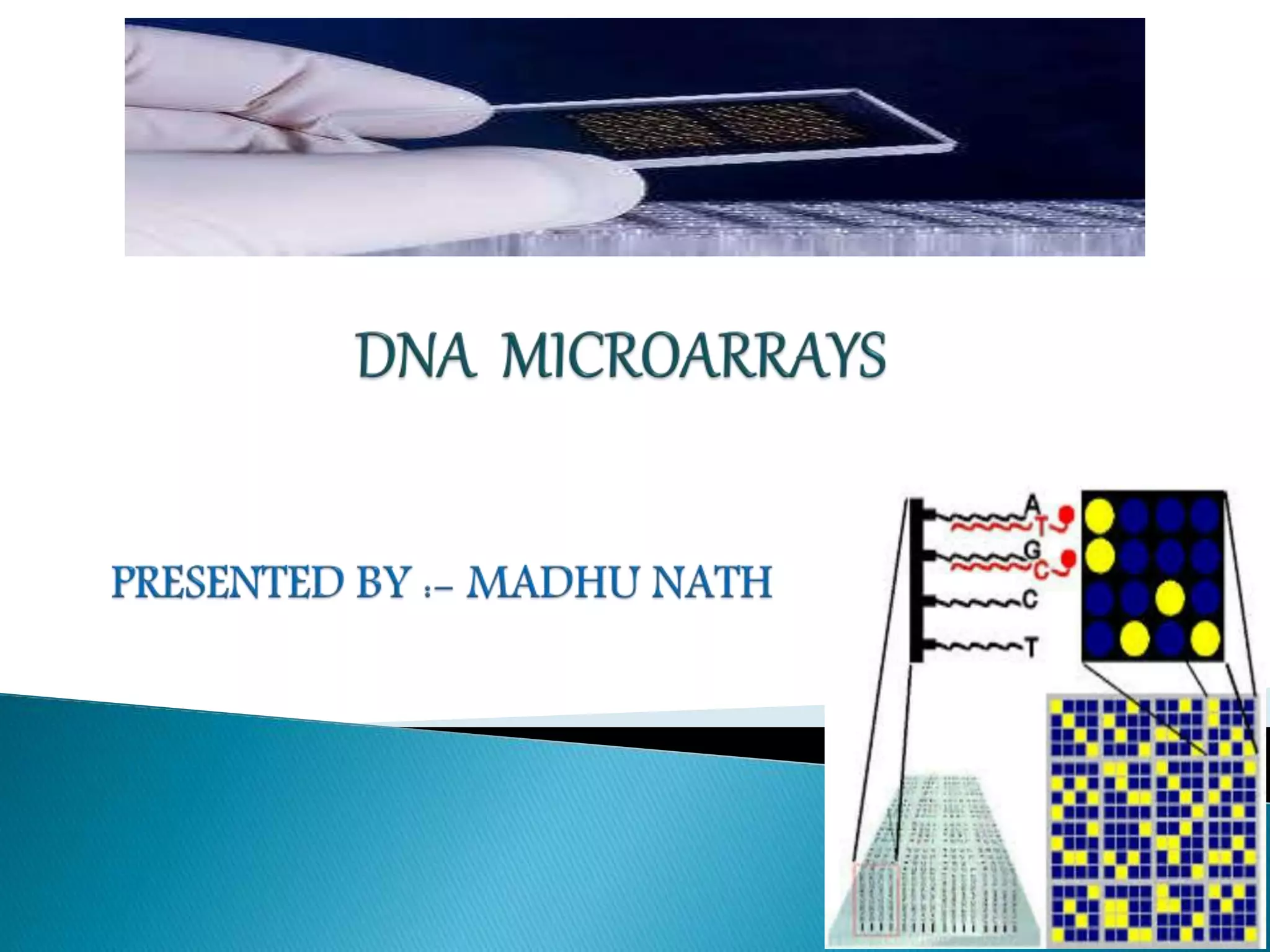 Dna chips and microarrays | PPT