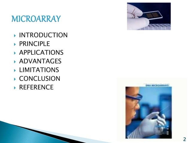 Dna chips and microarrays | PPT
