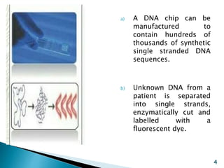 Dna chips and microarrays | PPT