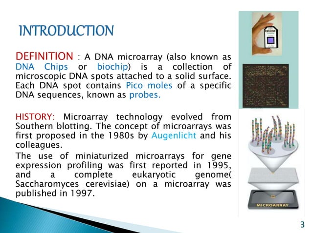 Dna chips and microarrays
