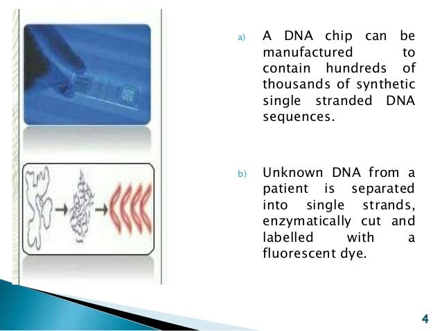 Dna chips and microarrays