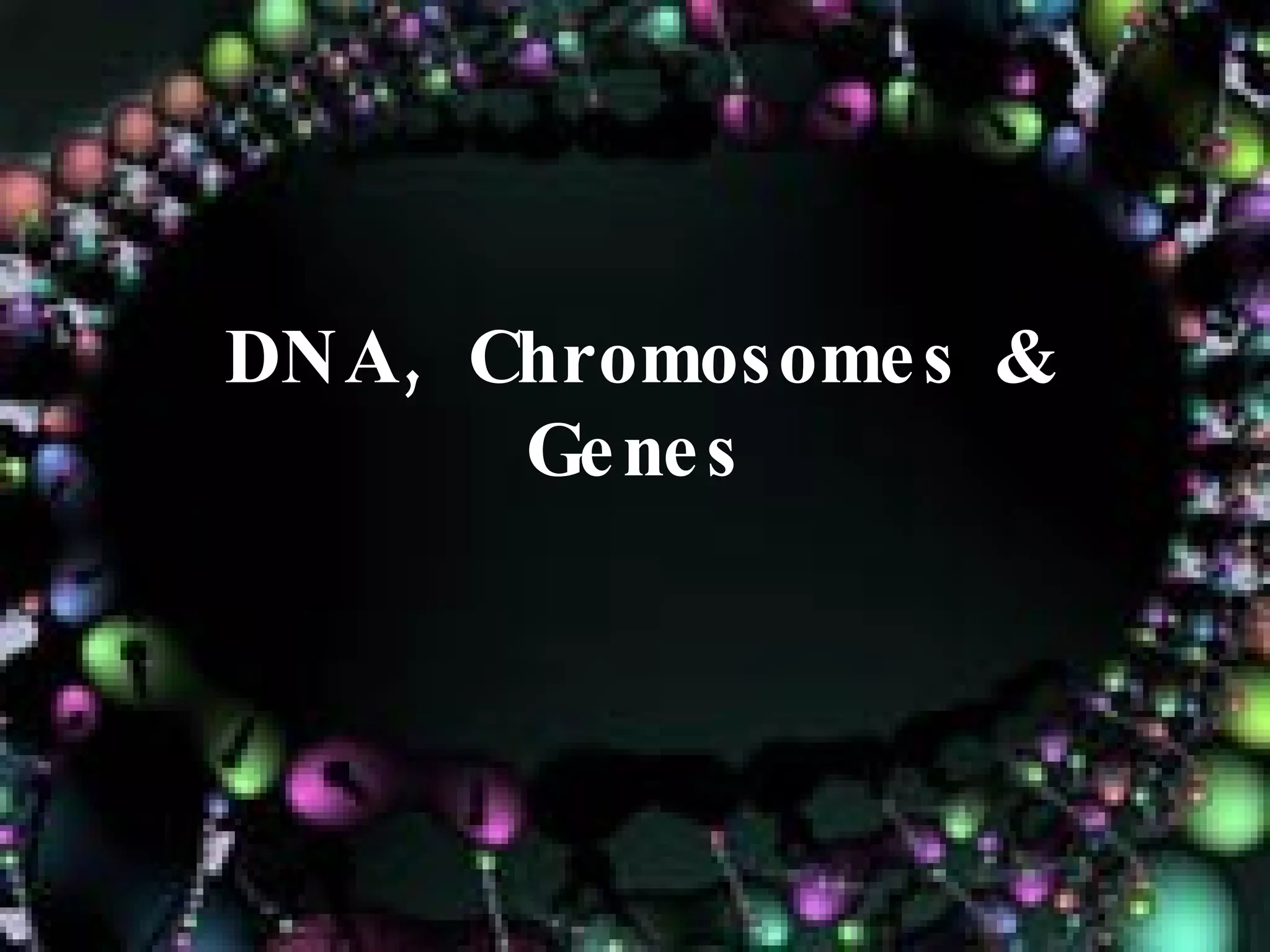 Dna, chromosomes & genes | PPT