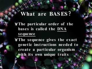 Dna, chromosomes & genes | PPT
