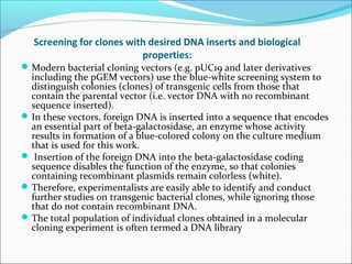 DNA CLONING | PPT