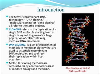 DNA CLONING | PPT