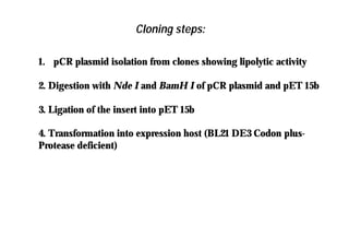 dna cloning.pdf