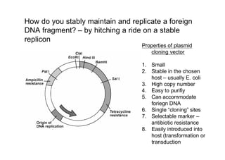 dna cloning.pdf