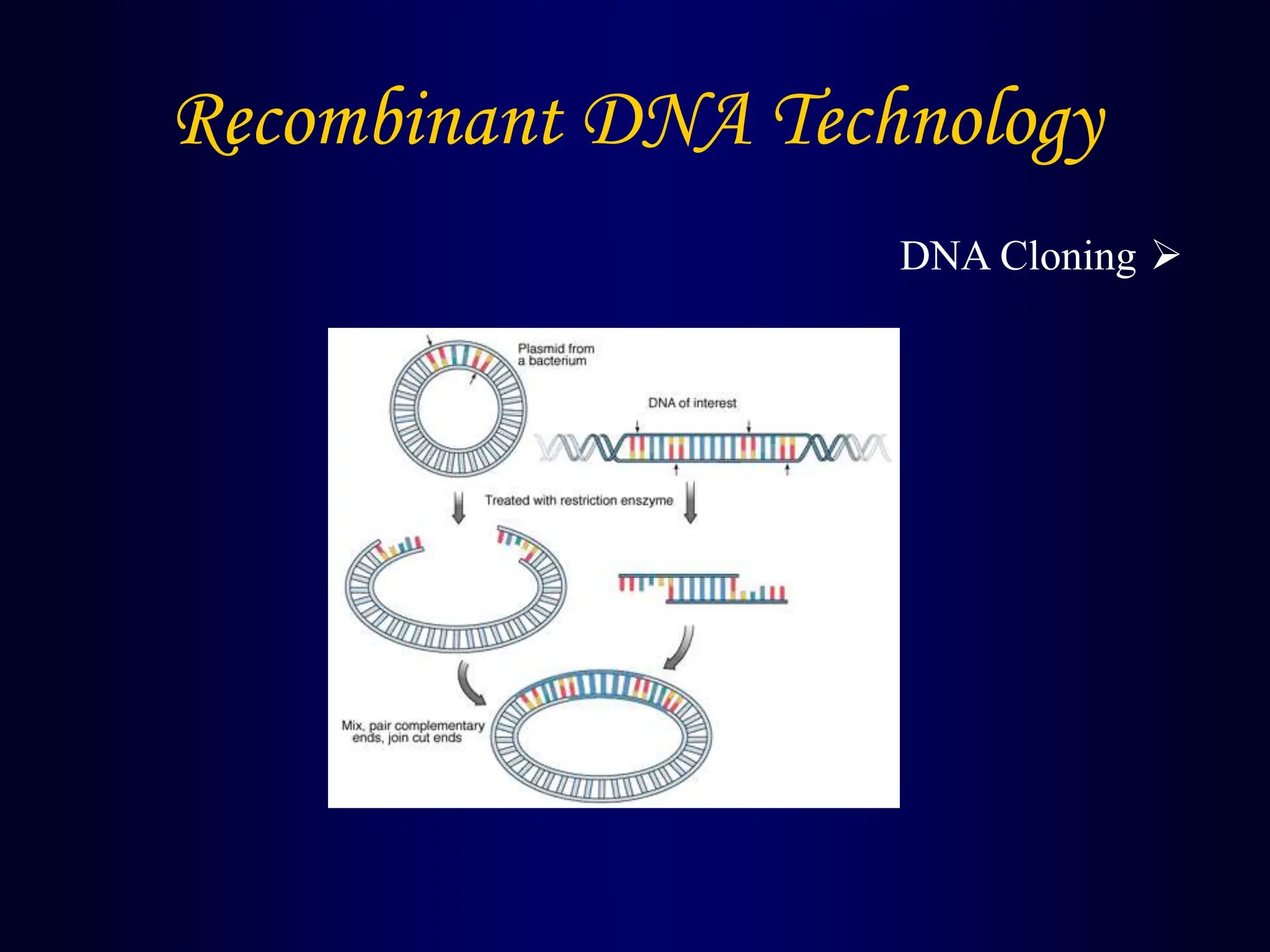 DNA Cloning.ppt