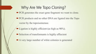 DNA cloning | PPTX