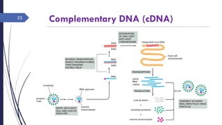 Dna cloning & genetic engineering | PDF