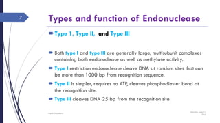 Dna cloning & genetic engineering | PDF