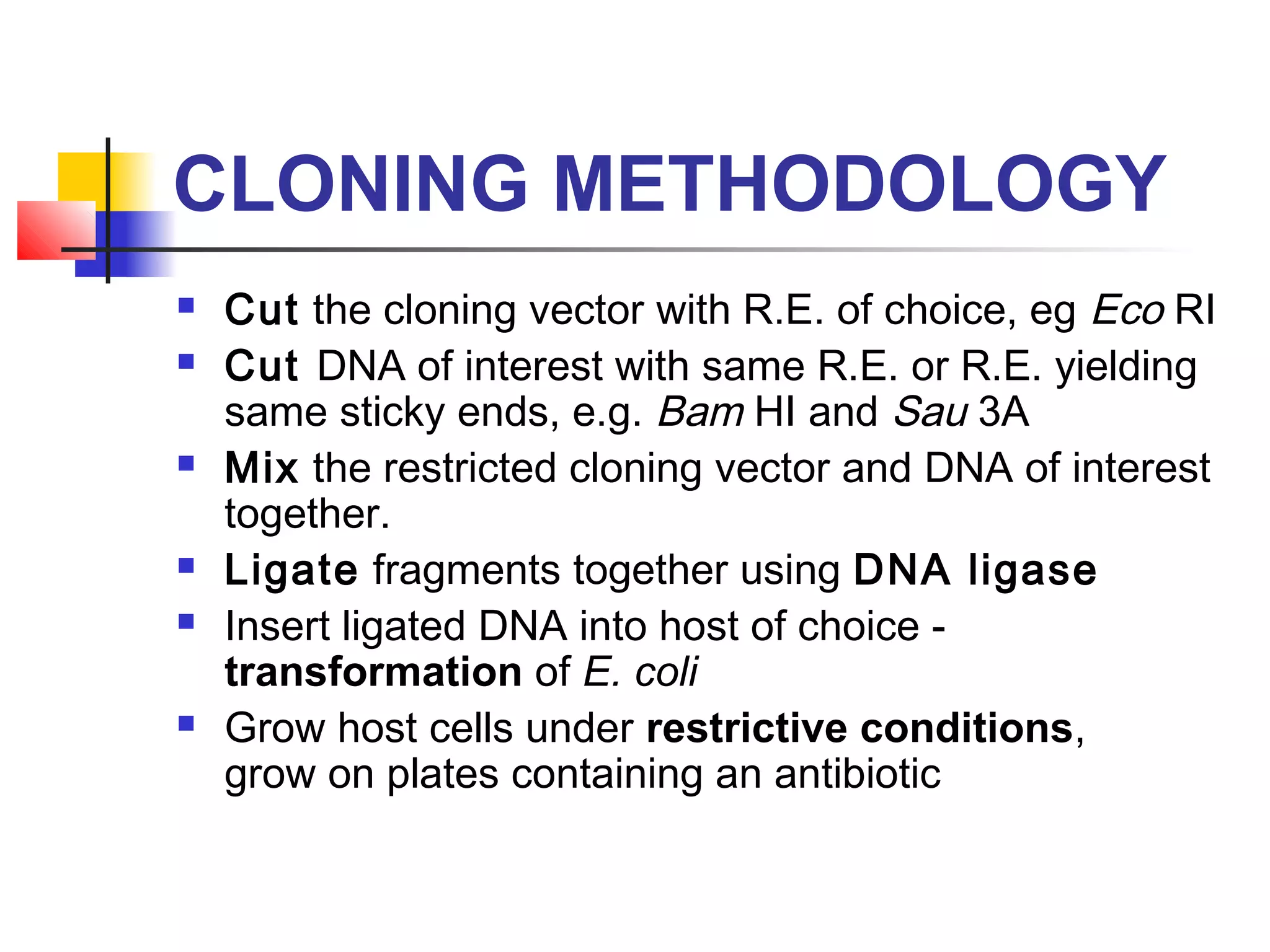 Dna cloning intro | PPT