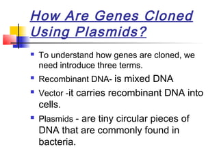 Dna cloning intro | PPT