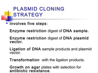 Dna cloning intro | PPT
