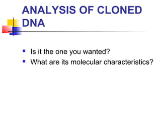 Dna cloning intro | PPT
