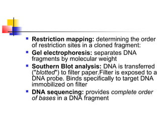 Dna cloning intro | PPT