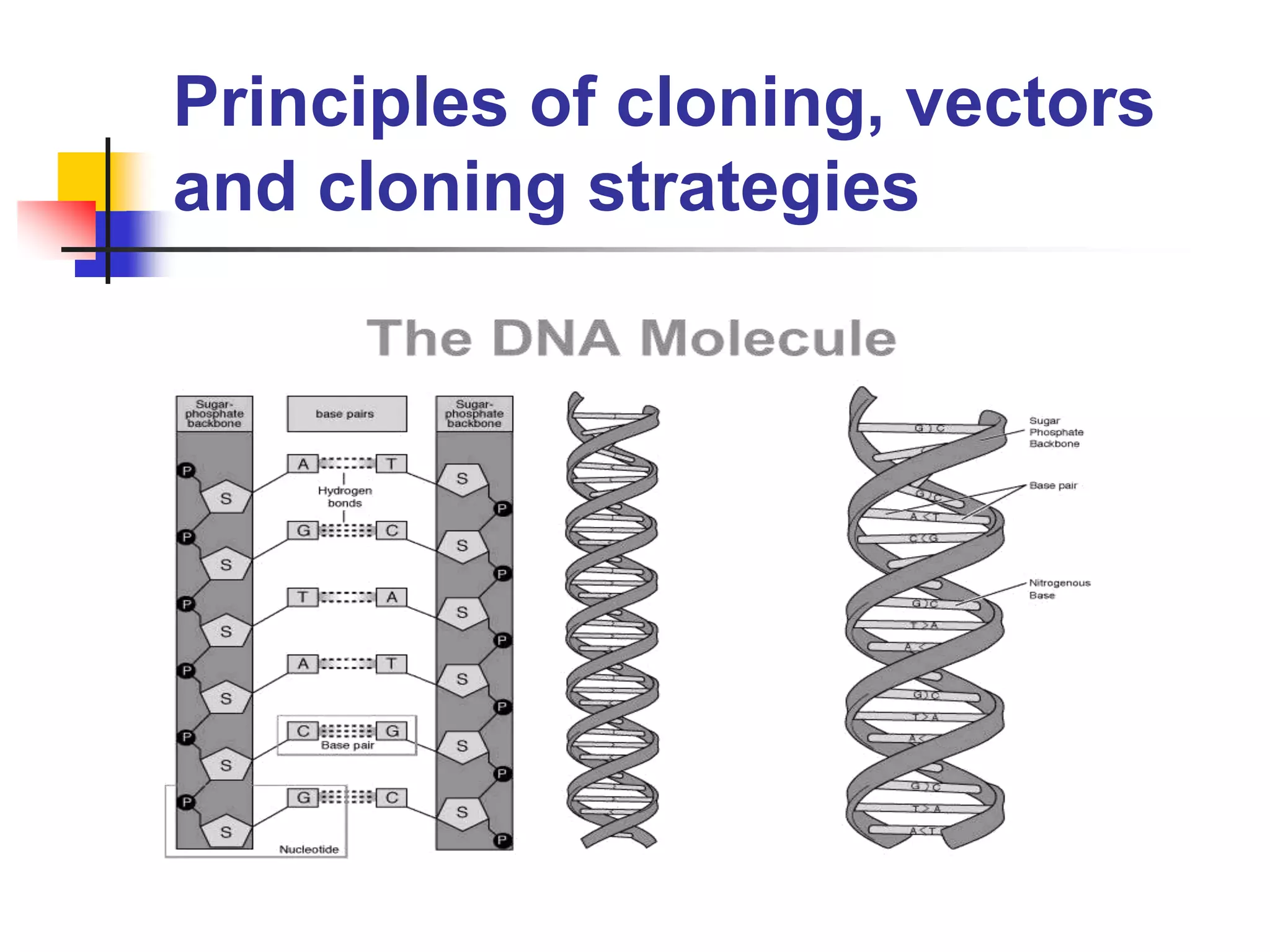 Principles of cloning DNA introduction | PPT