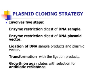 DNA_cloning_principles and procedures.ppt