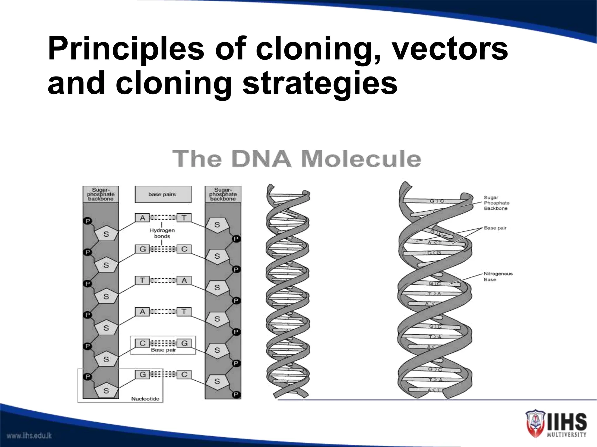 DNA cloning introduction part 1 presentation | PPTX