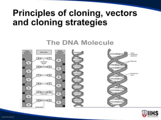 DNA cloning introduction part 1 presentation | PPT