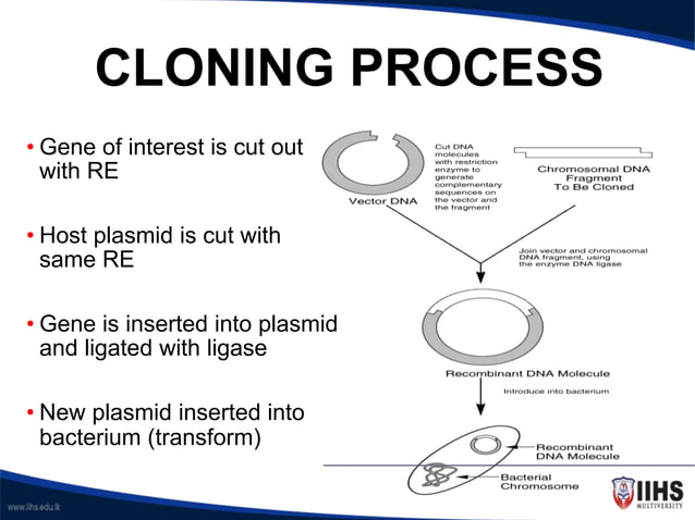 DNA cloning introduction part 1 presentation | PPTX