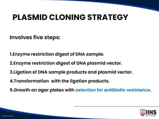 DNA cloning introduction part 1 presentation | PPTX