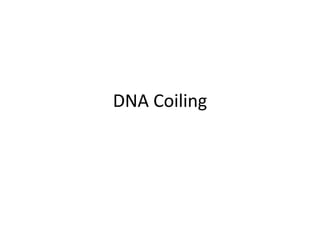 DNA Coiling.ppt