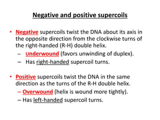 DNA Coiling.ppt