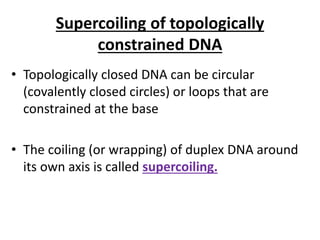 DNA Coiling.ppt
