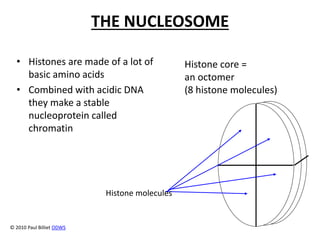 DNA Coiling.ppt