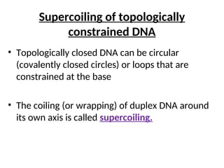 DNA Coiling, super coiling and packaging.ppt