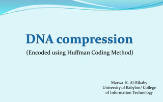 DNA Compression (Encoded using Huffman Encoding Method) | PPT