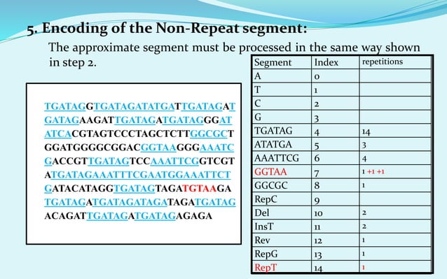 DNA Compression (Encoded using Huffman Encoding Method) | PPT