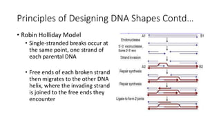 DNA computers | PPTX